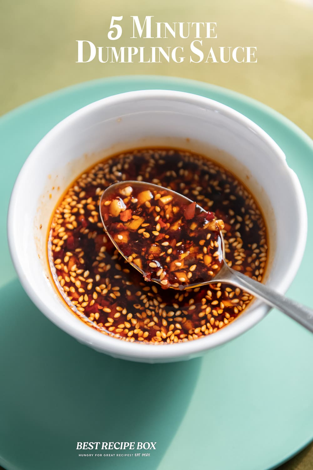 Dumpling Potsticker Sauce Recipe in 5 min | Best Recipe Box