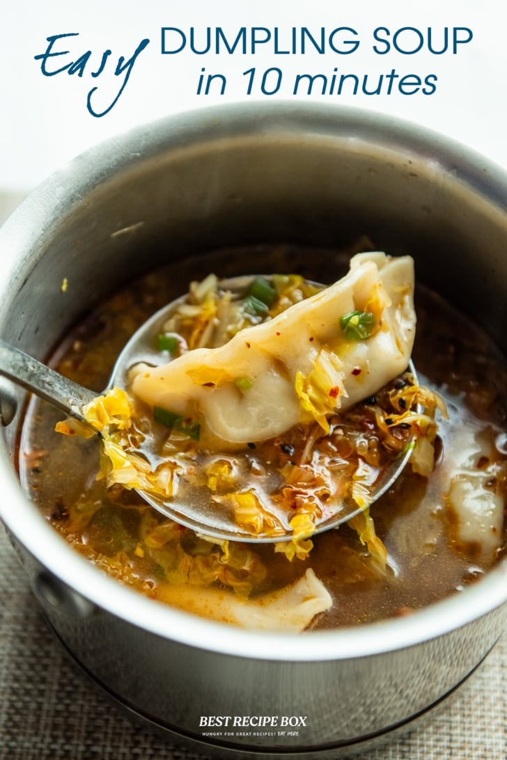 How To Cook Frozen Dumplings Potstickers Wonton | Best Recipe